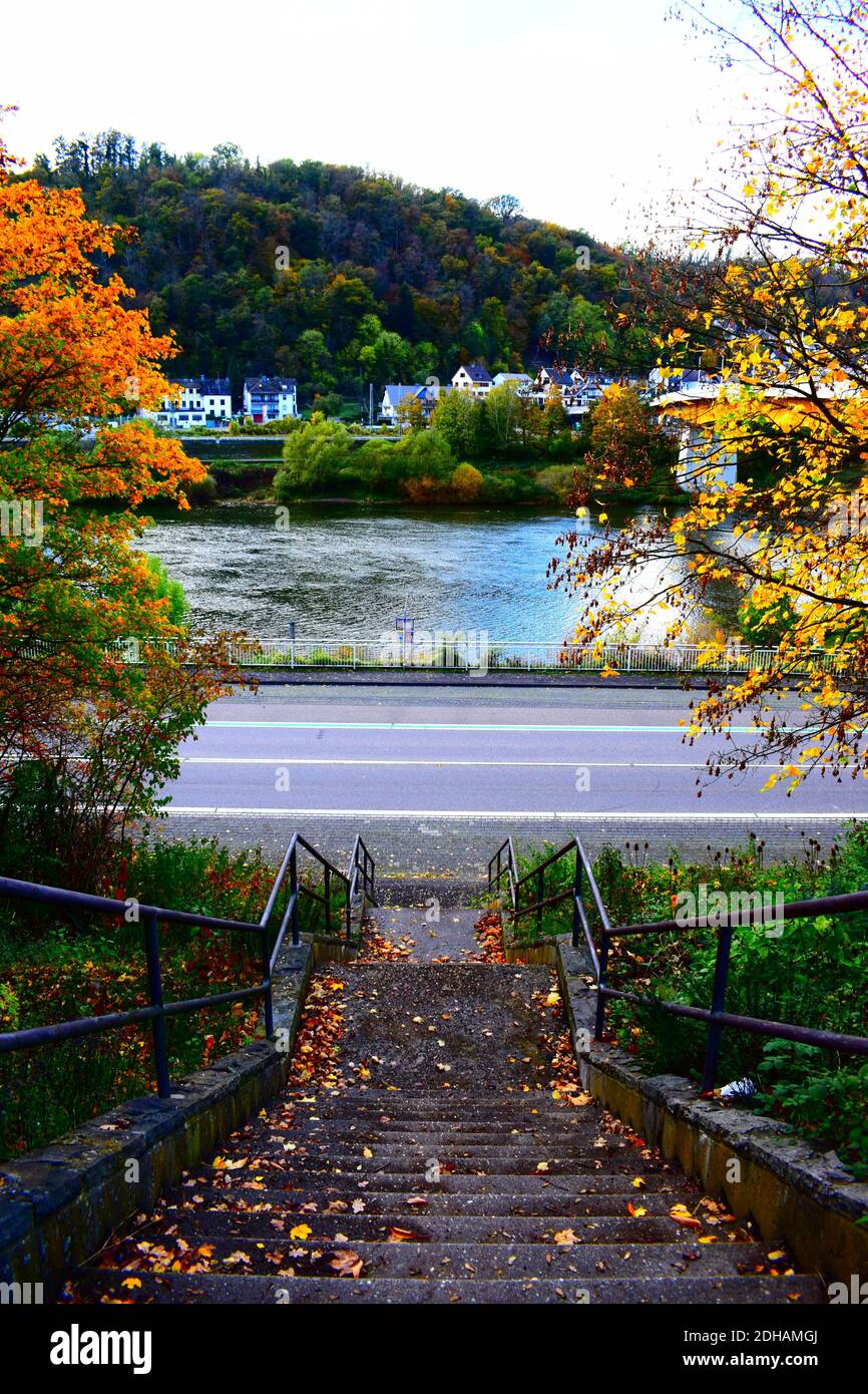 autumn colors in Mosel valley near Niederfell Stock Photo - Alamy