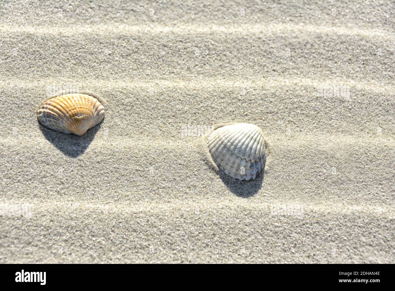 Sand impression hi-res stock photography and images - Alamy
