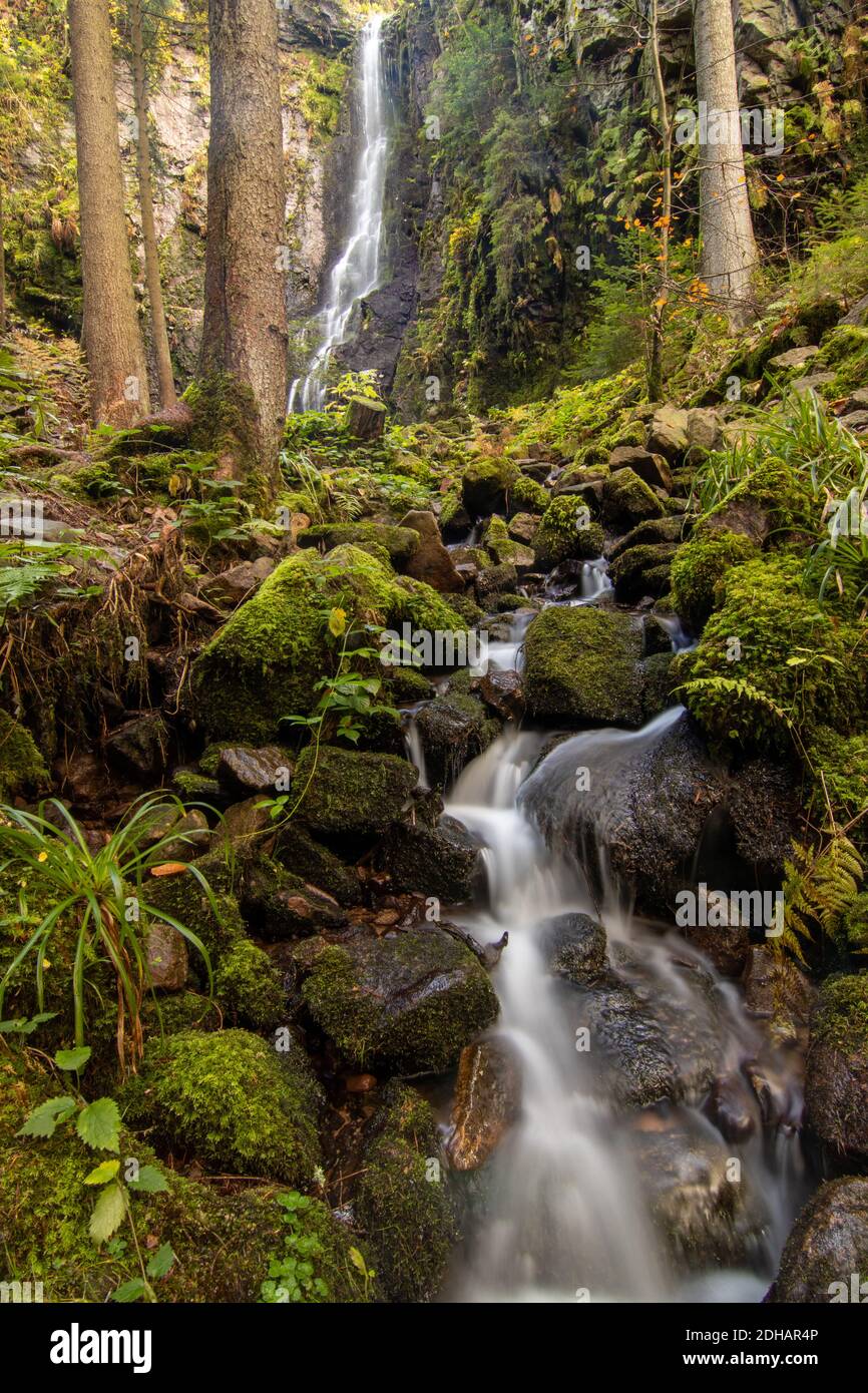 Scenic Double waterfall in Schwarzwald, Germany Stock Photo - Alamy