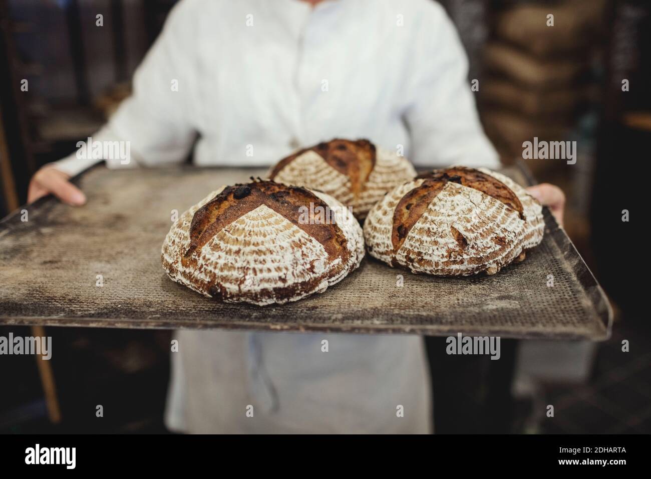 Midsection of baker holding fresh baked breads in tray at bakery Stock ...