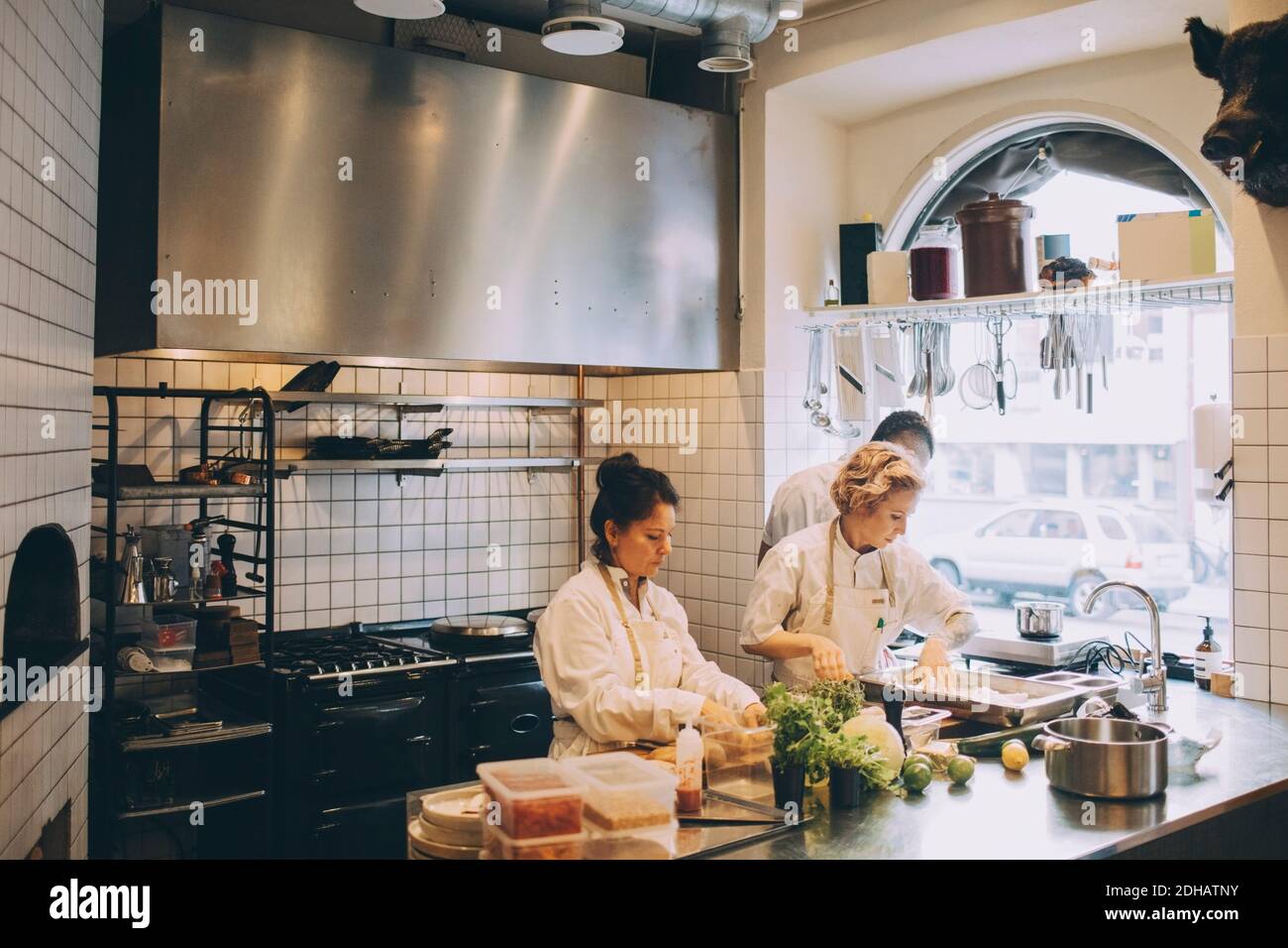 Multi-ethnic chefs preparing food on kitchen counter at restaurant ...