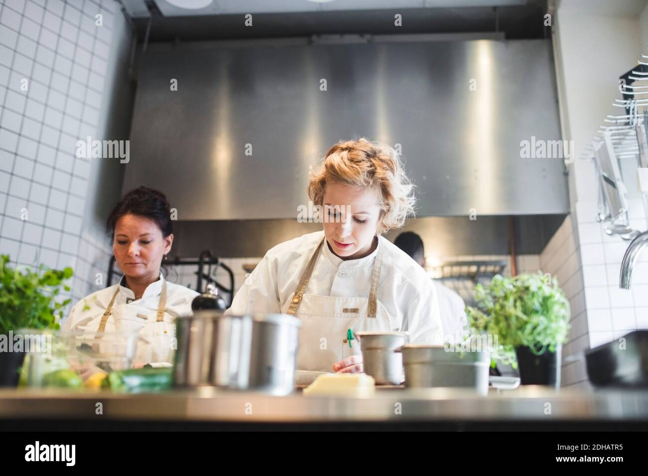 Working at counter hi-res stock photography and images - Alamy