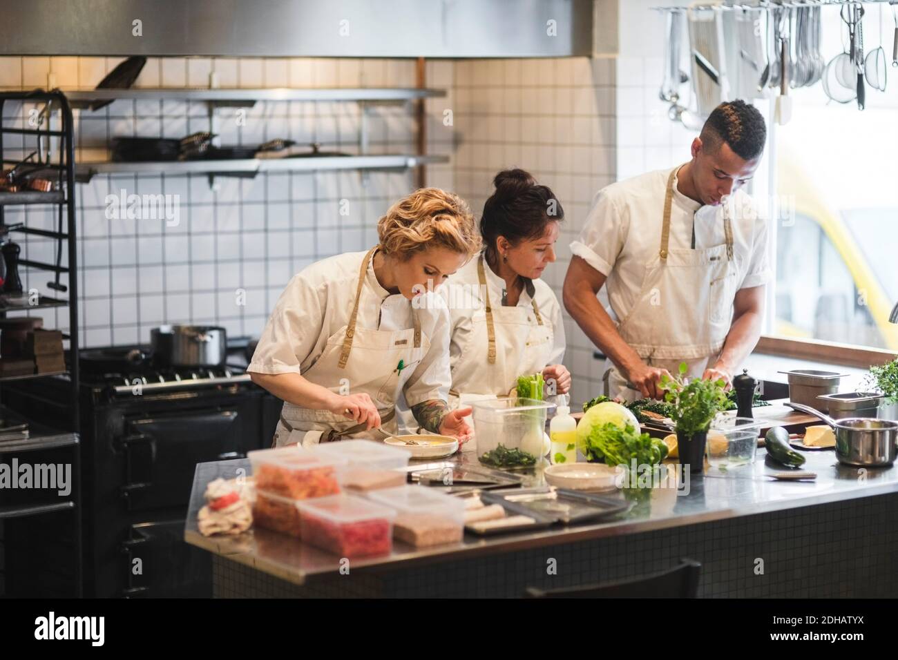 Multi-ethnic chefs preparing food on kitchen counter at restaurant ...
