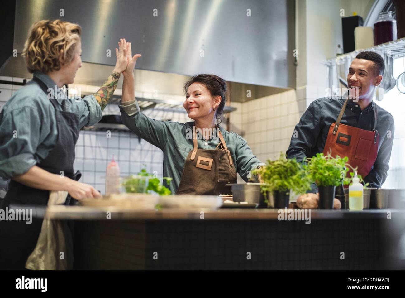 Happy male chef looking at female colleagues giving high-five in ...