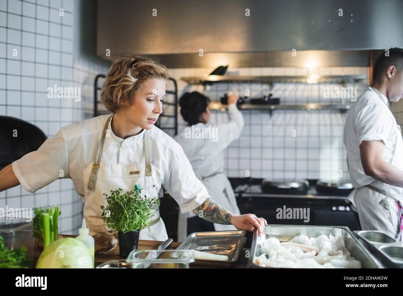 Female restaurant tray hi-res stock photography and images - Alamy
