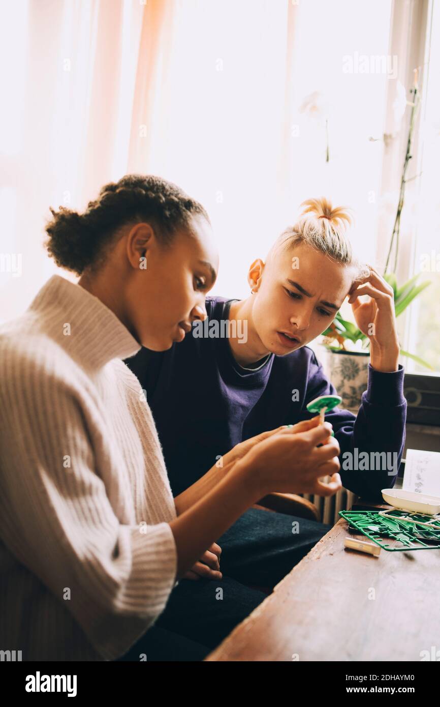 Teenage friends making model together at table by window in room Stock ...
