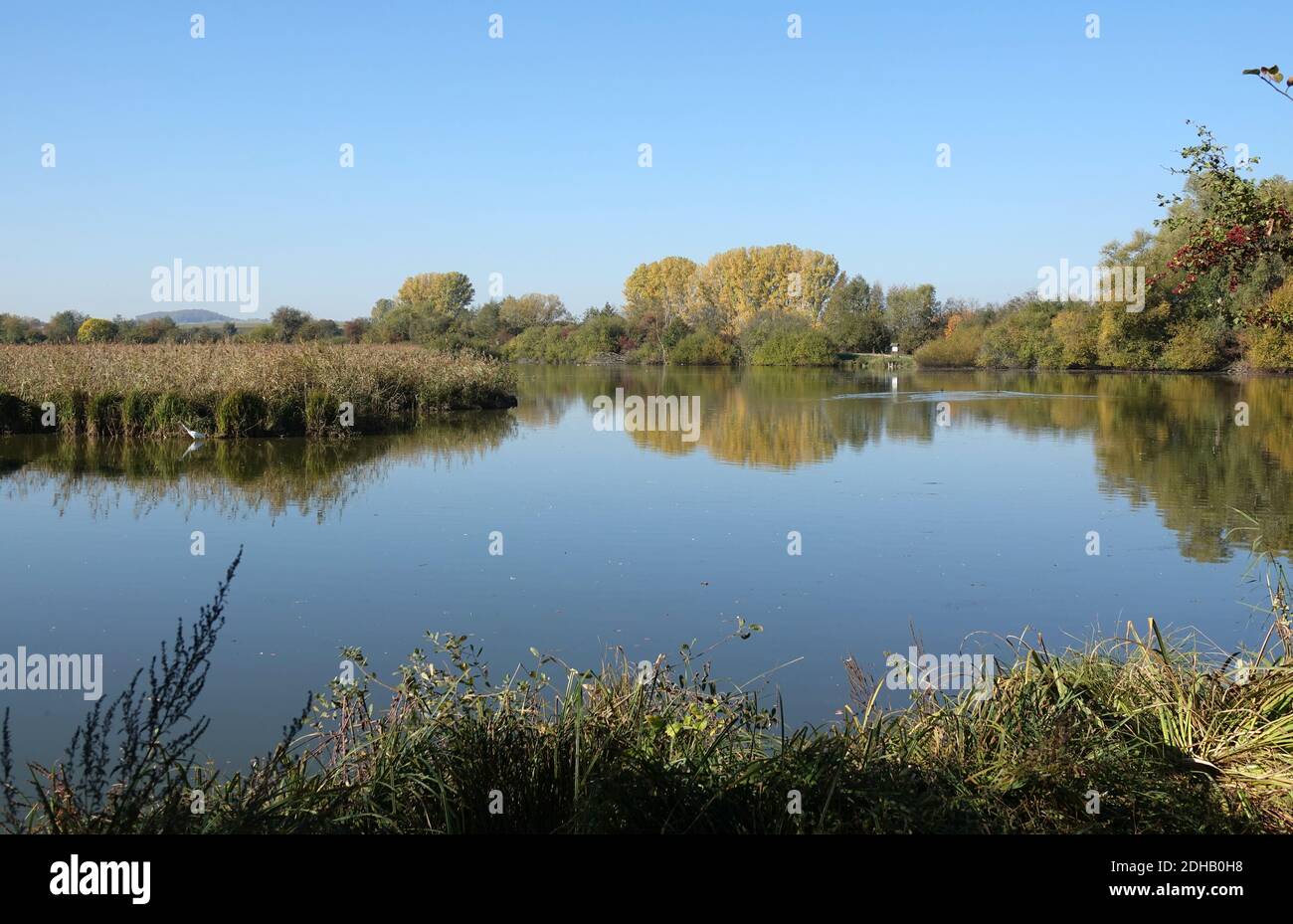 Reinheim pond hi-res stock photography and images - Alamy