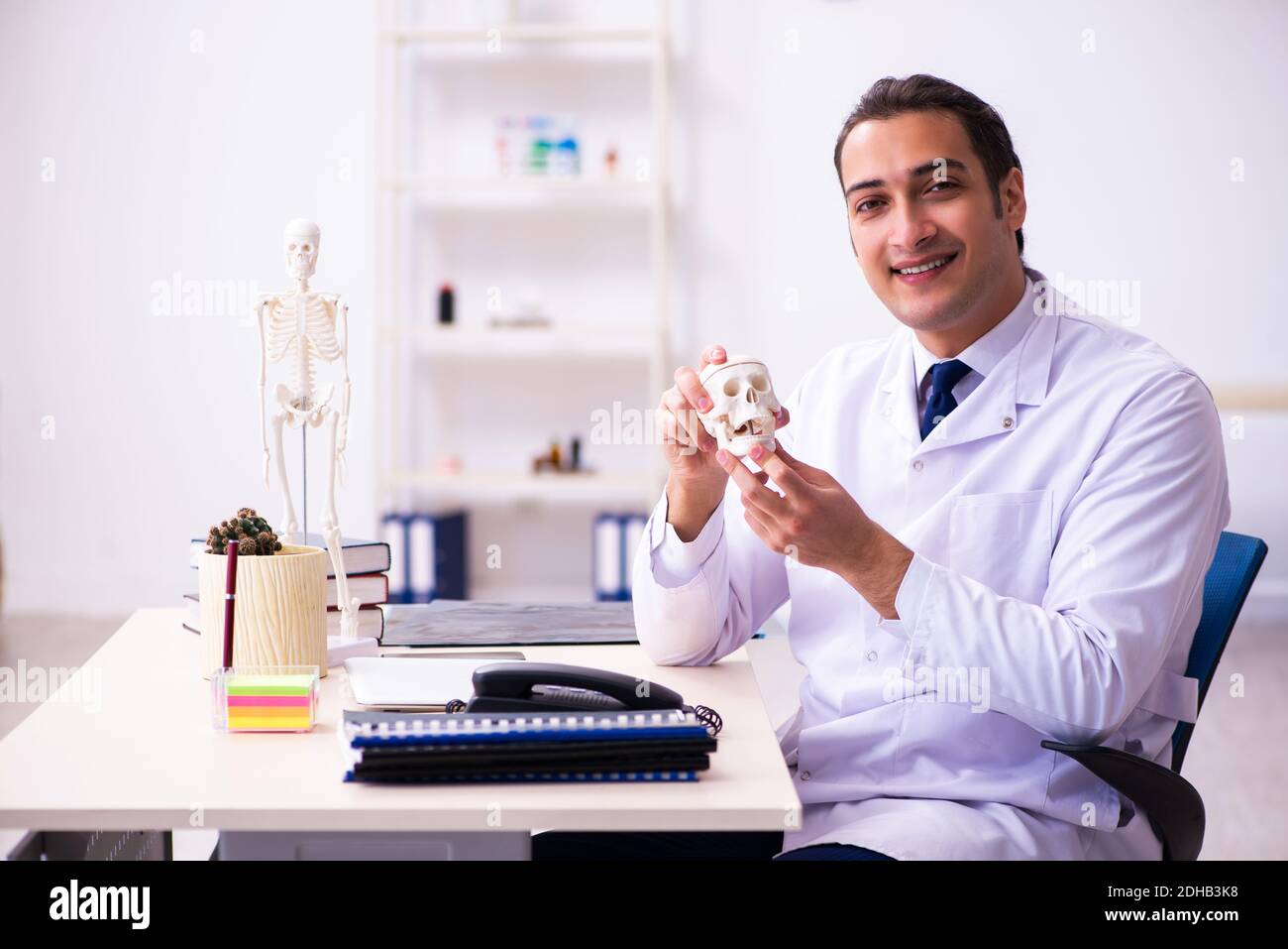 Young male doctor studying human skeleton Stock Photo - Alamy