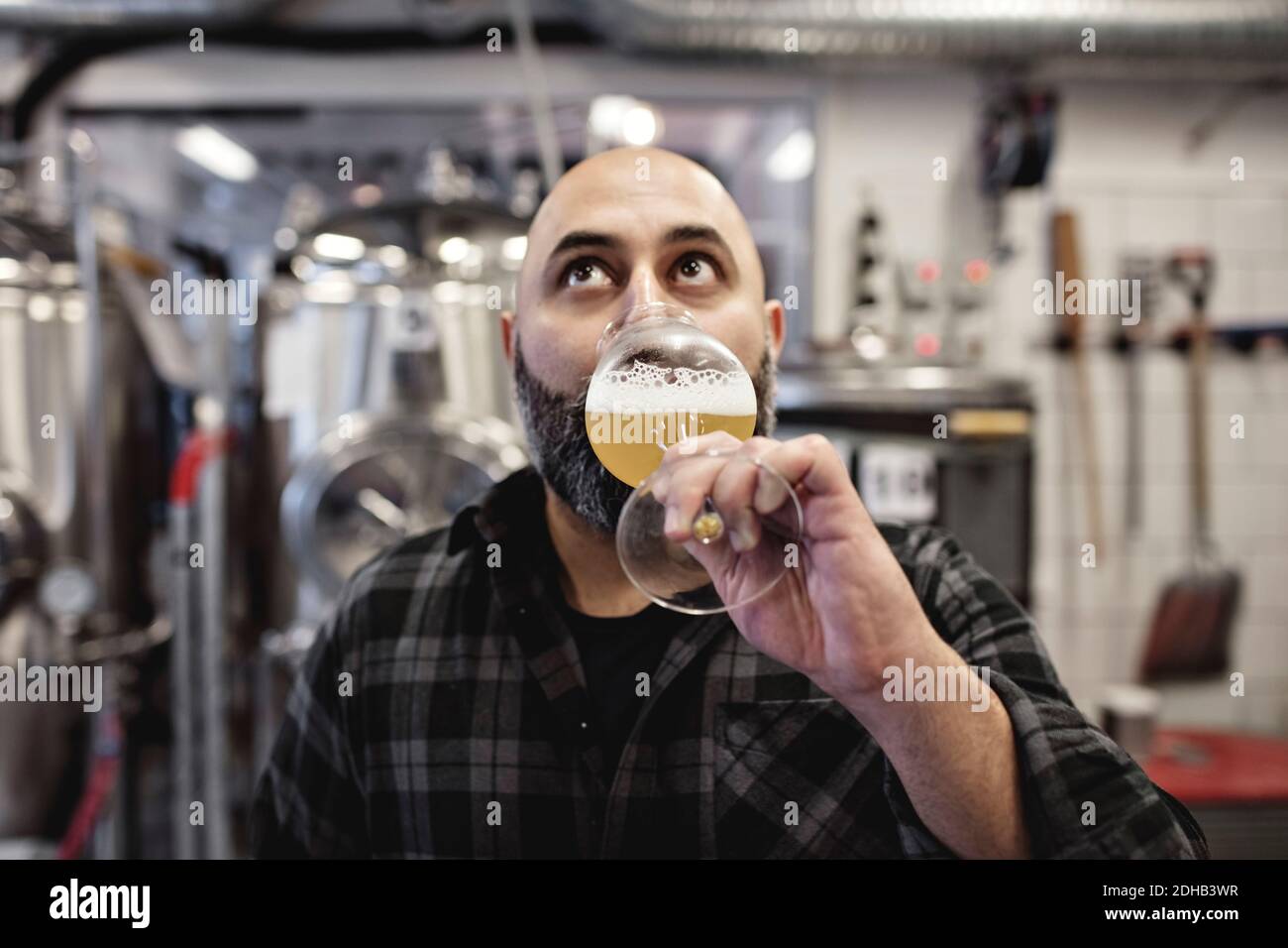 Male worker tasting craft beer while standing at factory Stock Photo ...