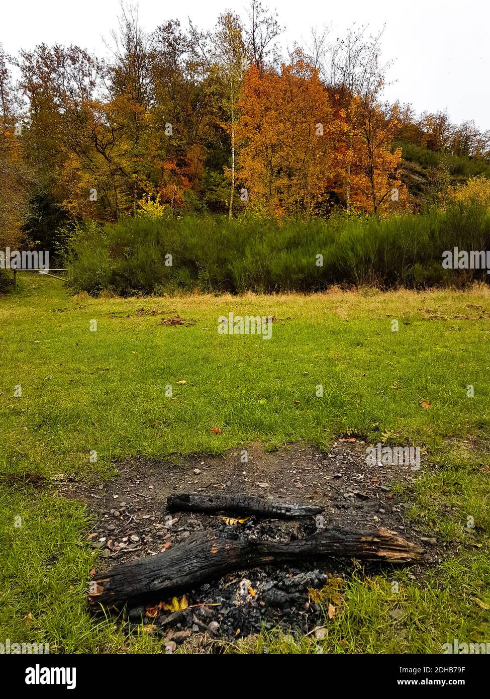 Old fire camp in the forest. nobody Stock Photo - Alamy