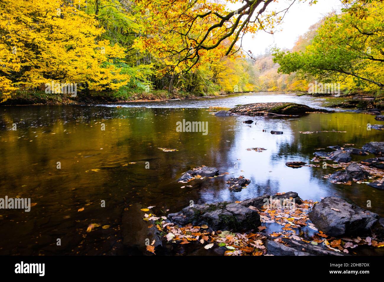 river through a colorful forest at autumn. nobody Stock Photo - Alamy