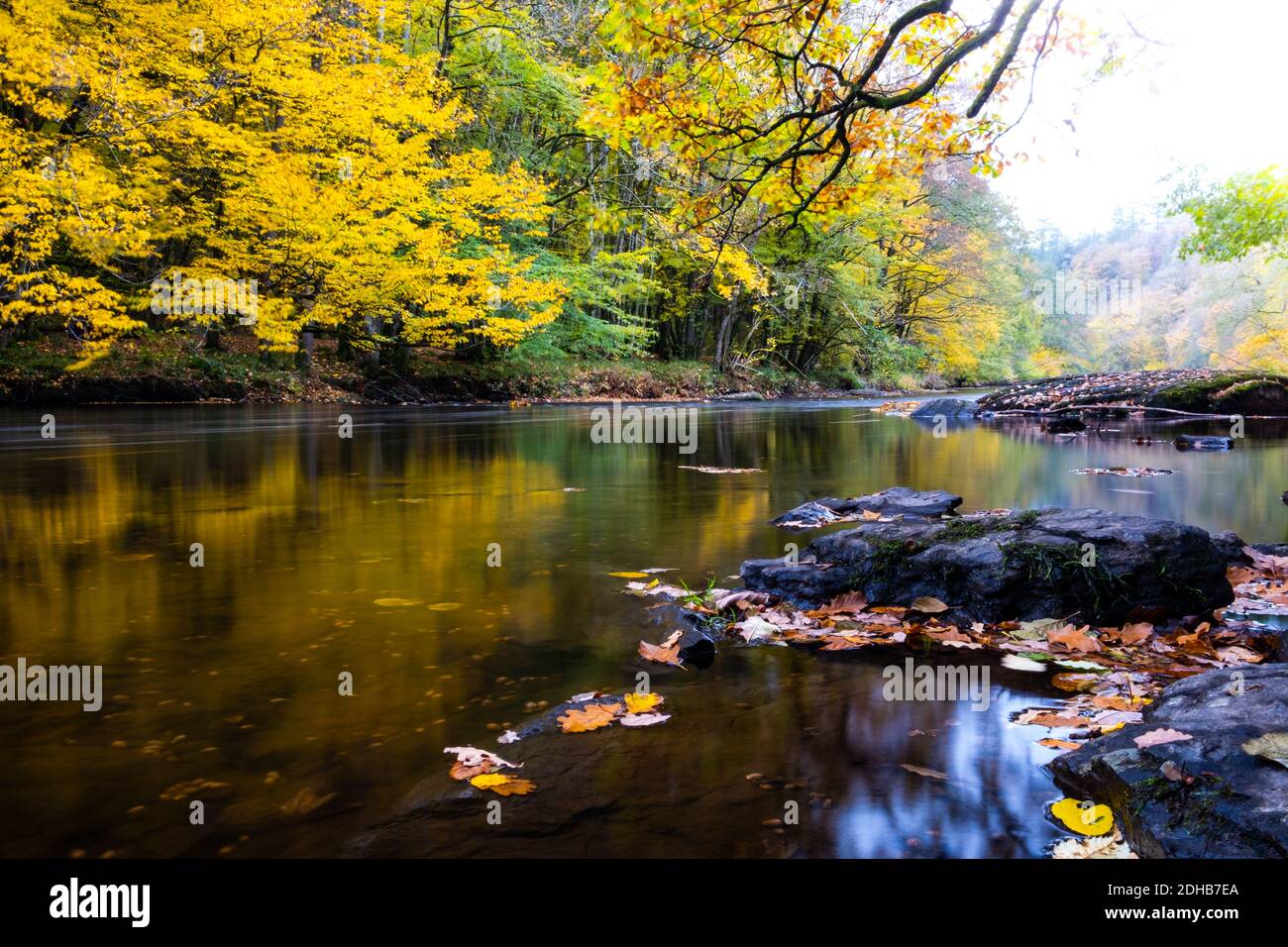 river through a colorful forest at autumn. nobody Stock Photo - Alamy