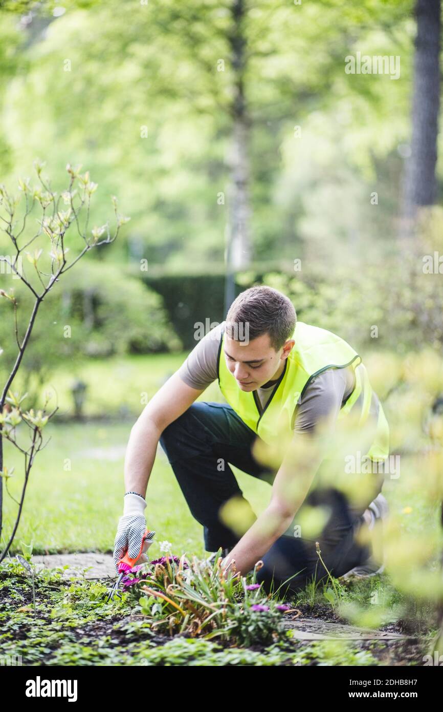 Full length of young man planting at garden Stock Photo - Alamy