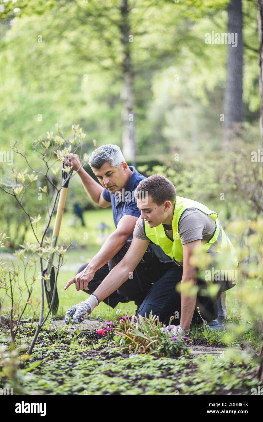 Instructor pointing at plants to trainee at garden Stock Photo - Alamy