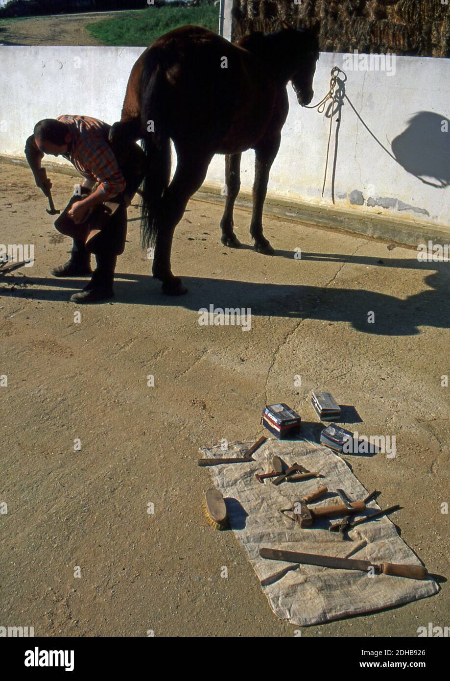 The old farrier in Sardinia farm (scanned from Fujichrome Velvia Stock ...