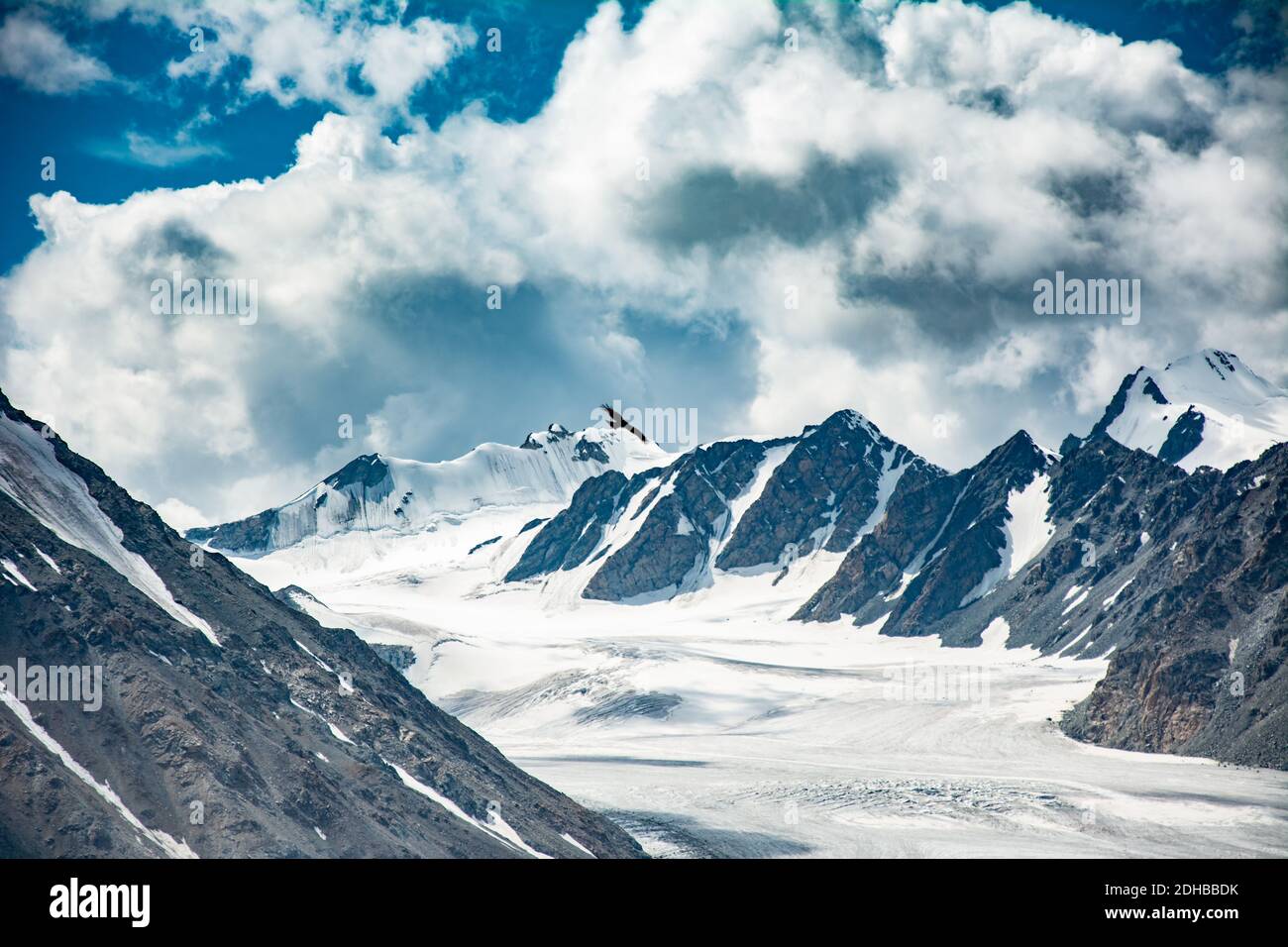 Mongolian blue spot hi-res stock photography and images - Alamy