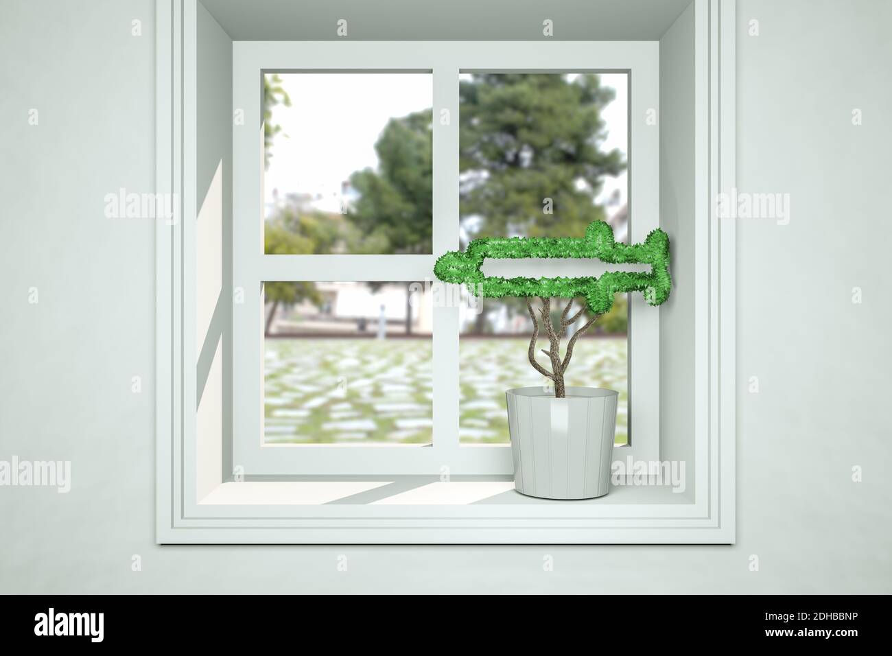 Insulin plant hi-res stock photography and images - Alamy