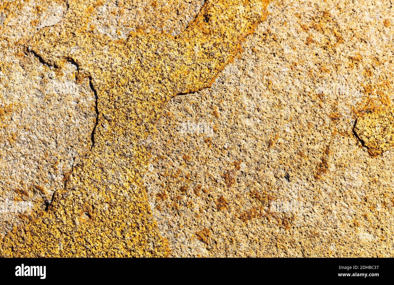 A closeup of an abstract rock texture Stock Photo - Alamy