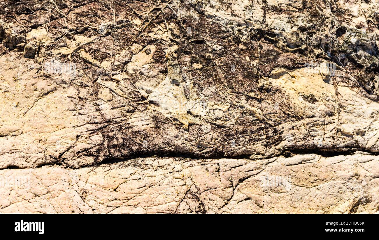 A closeup of an abstract rock texture Stock Photo - Alamy