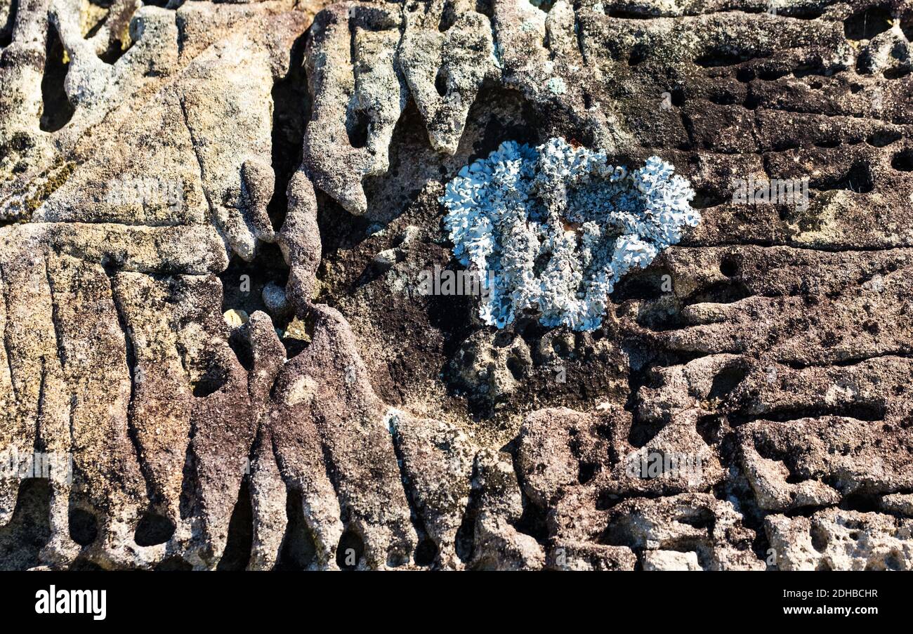 An abstract rock texture with a lich Stock Photo - Alamy