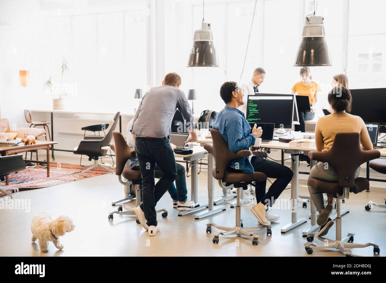 Male and female computer programmers discussing in creative workplace ...