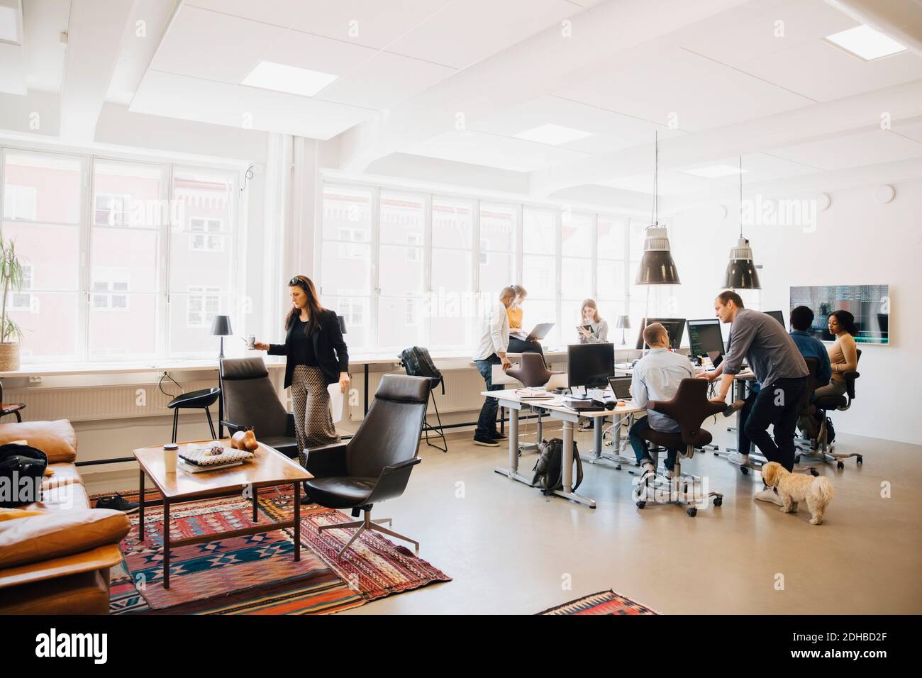 Animal engineers hi-res stock photography and images - Alamy