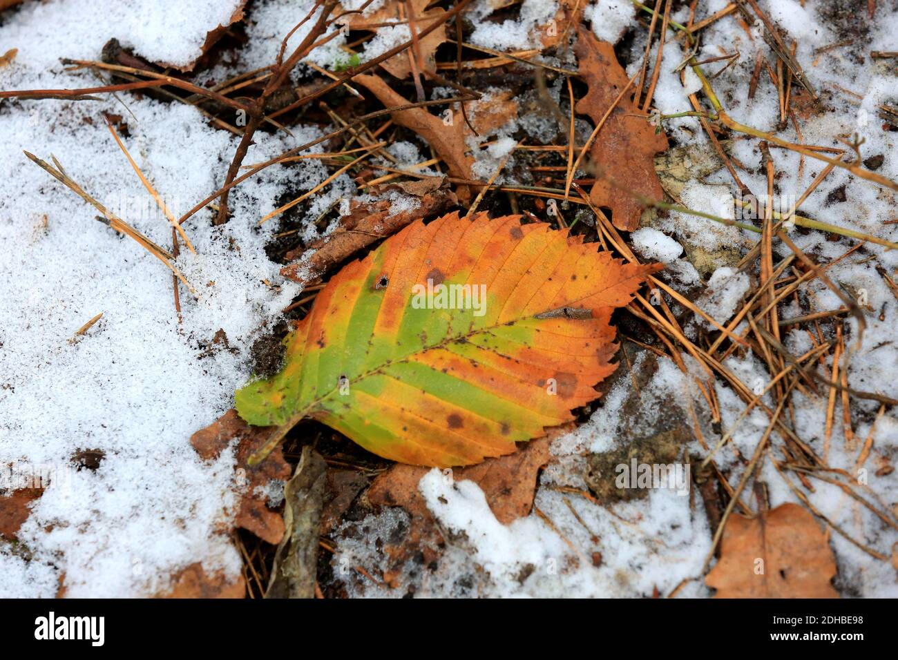 Frozen soil hi-res stock photography and images - Alamy