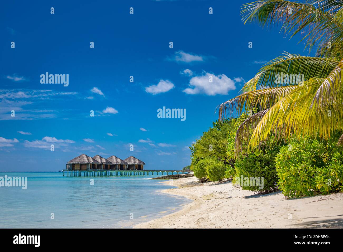 Tropical beach with water bungalows on the Maldives. Amazing shore ...