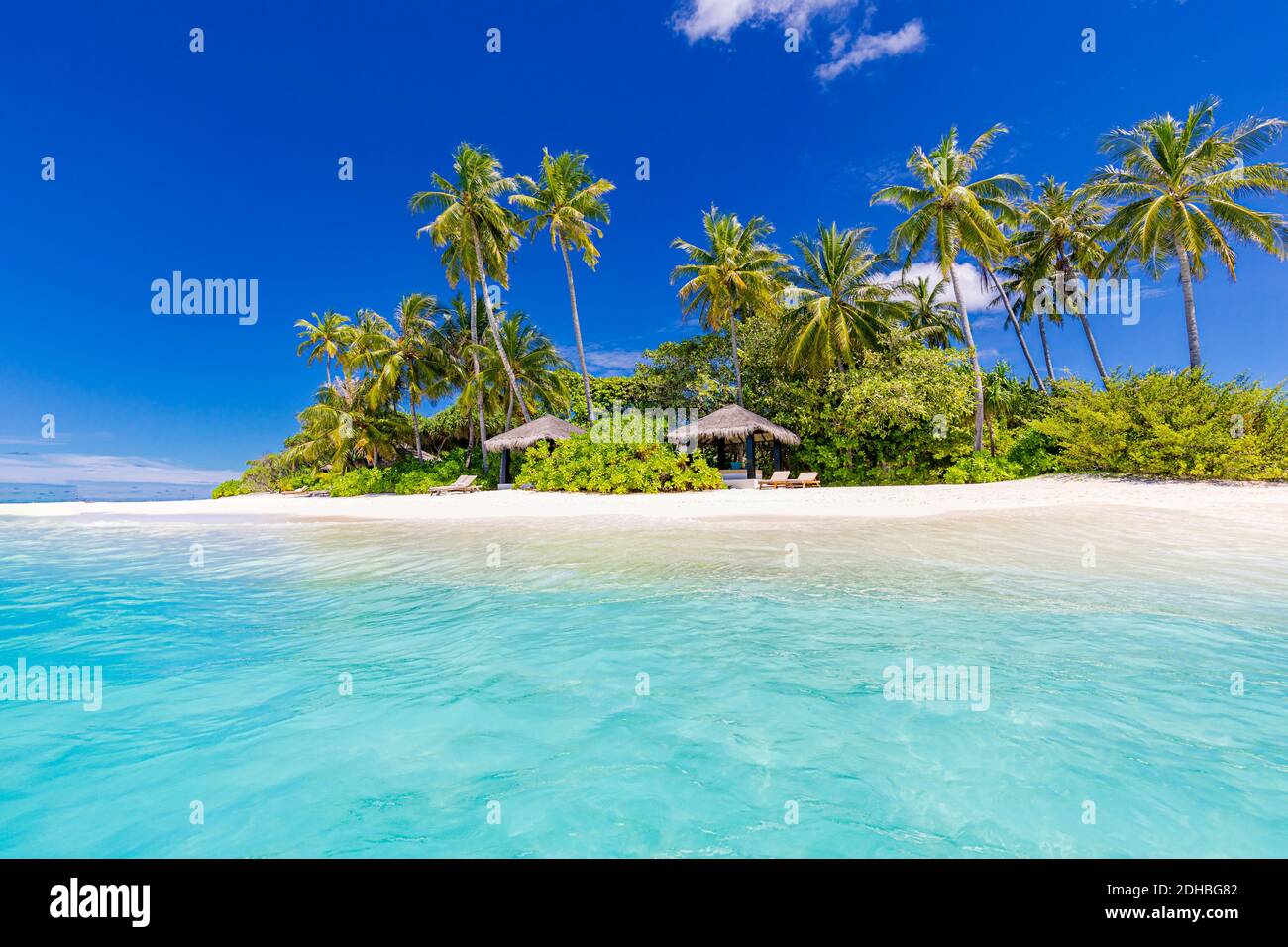 Beautiful tropical beach banner. White sand and coco palms travel ...