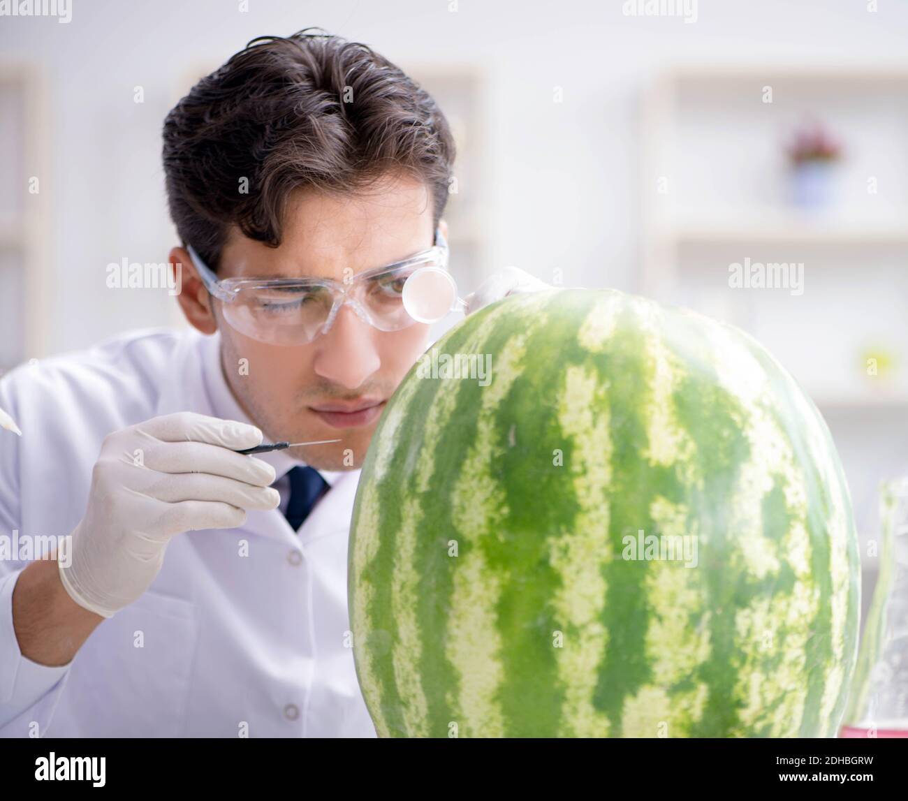 Watermelon test hi-res stock photography and images - Alamy