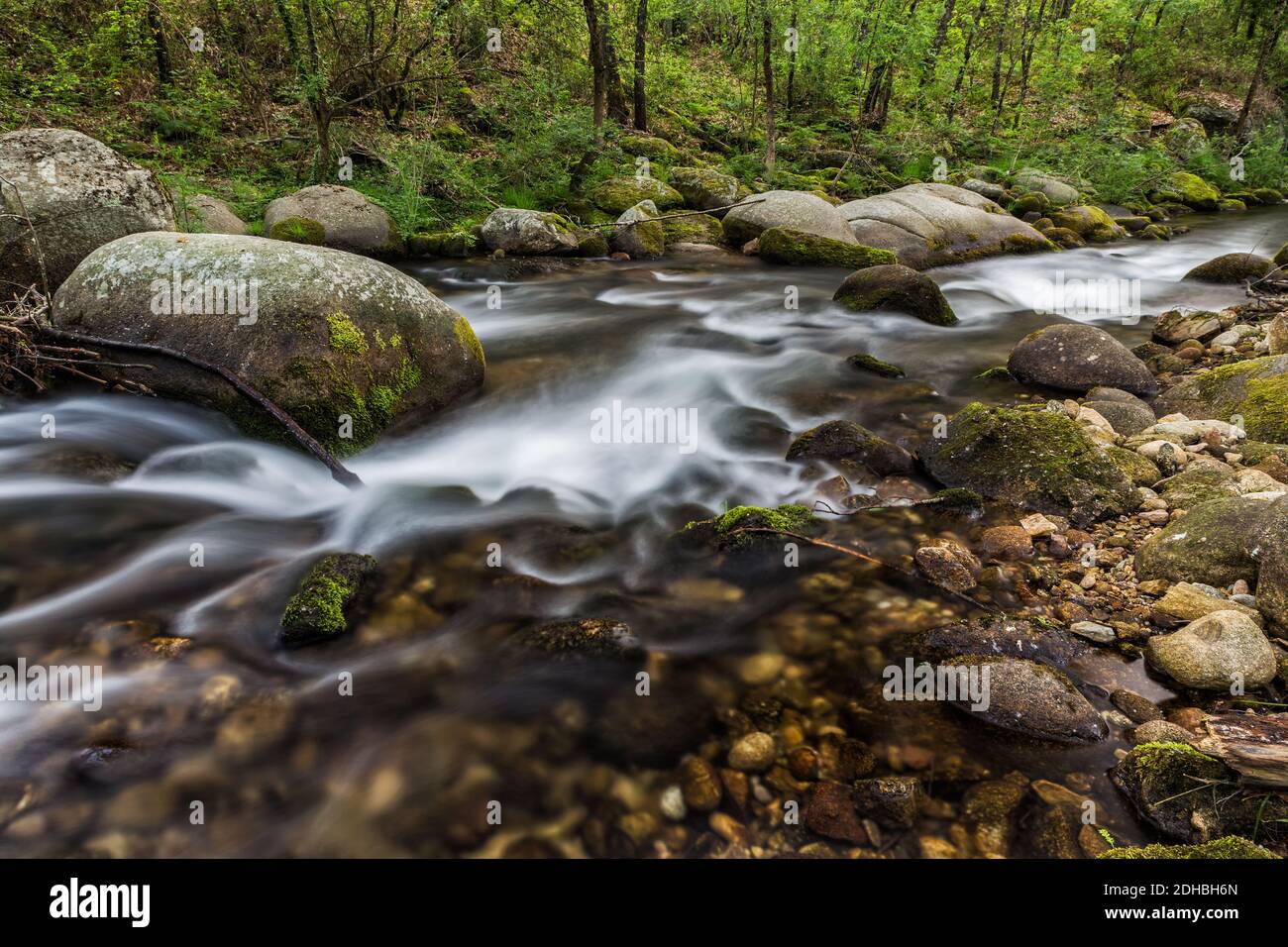 A vibrant scenery of a river flowing over rocks with long exposure ...