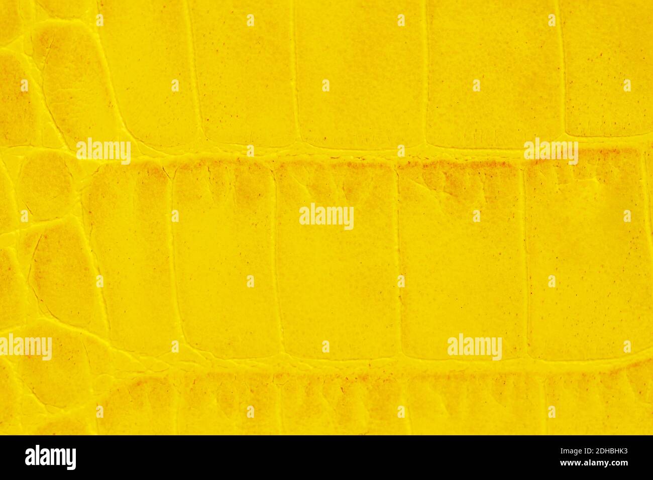 Python texture hi-res stock photography and images - Alamy