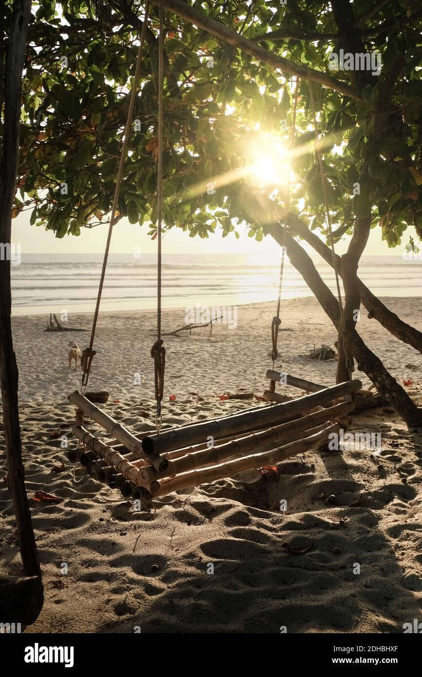 Bamboo swing hi-res stock photography and images - Alamy