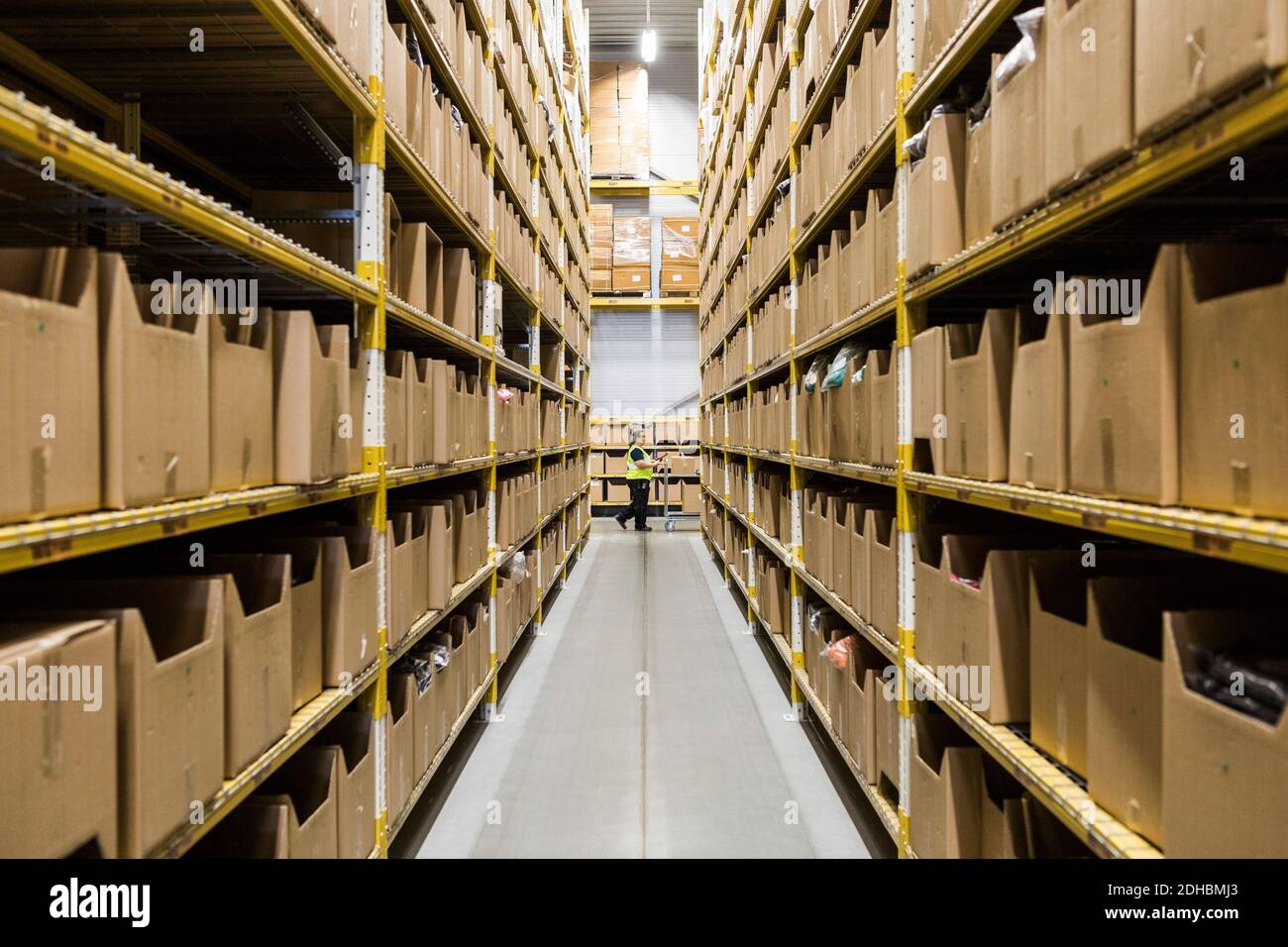 Mid distance of mature female warehouse worker pushing cart seen ...