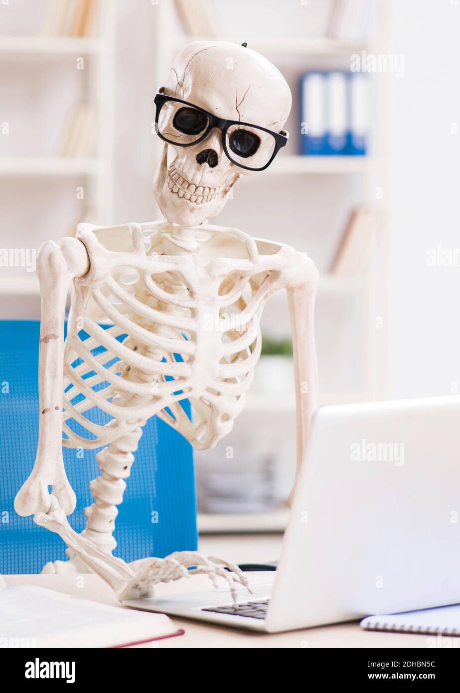 Human skeleton sitting with laptop computer hi-res stock photography ...