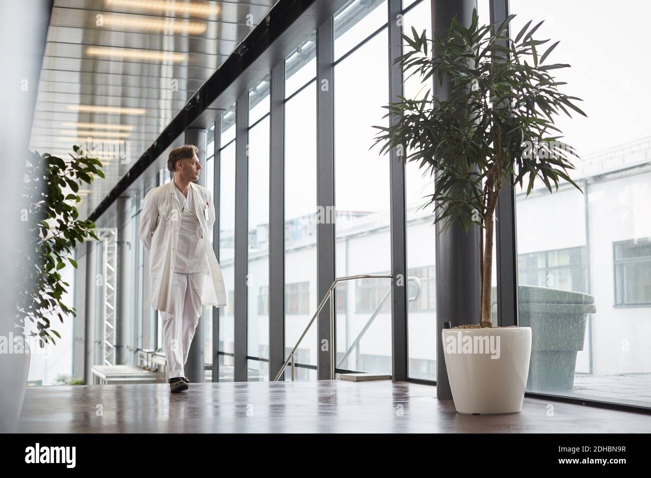 Full length of thoughtful mature doctor walking while looking through ...