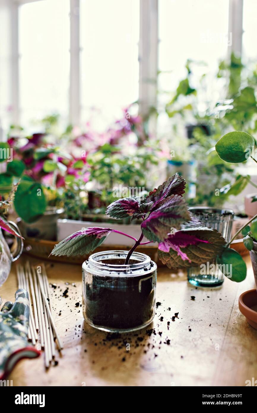 Dirt in nature hi-res stock photography and images - Alamy