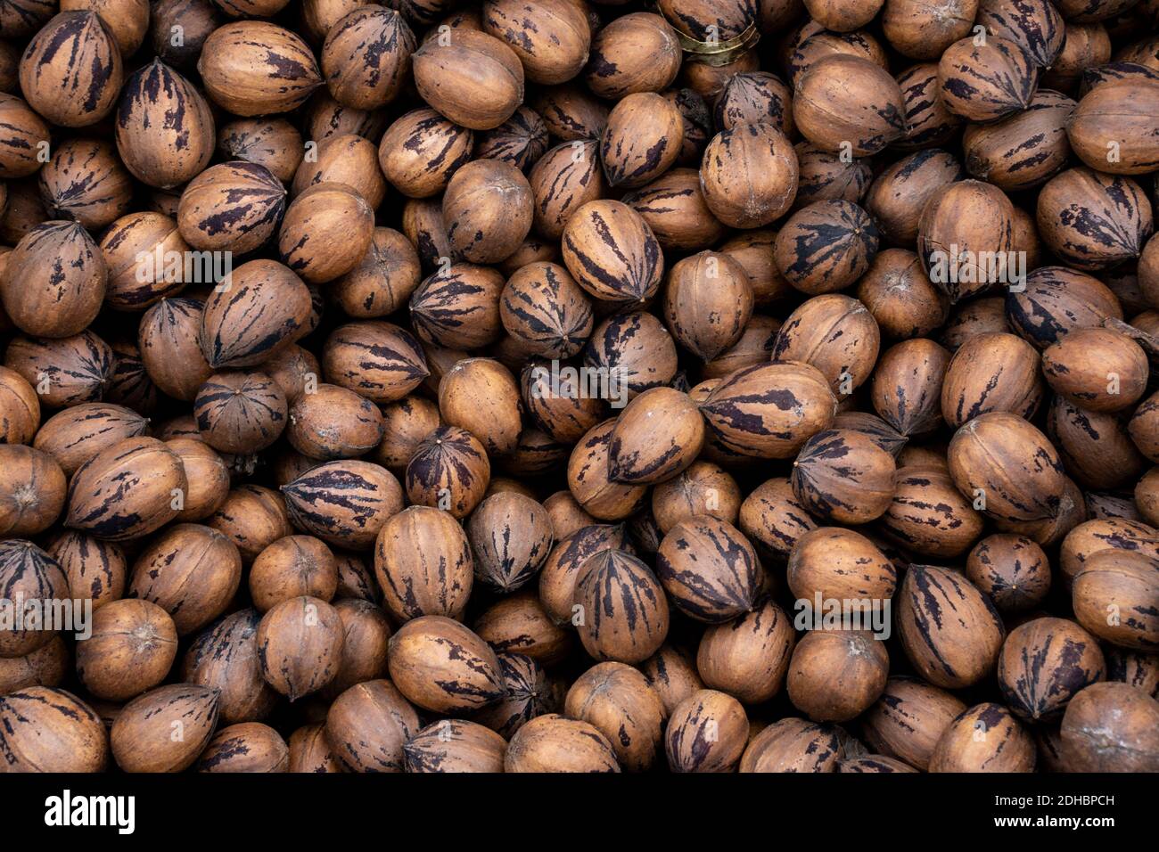 3 pecan hi-res stock photography and images - Alamy