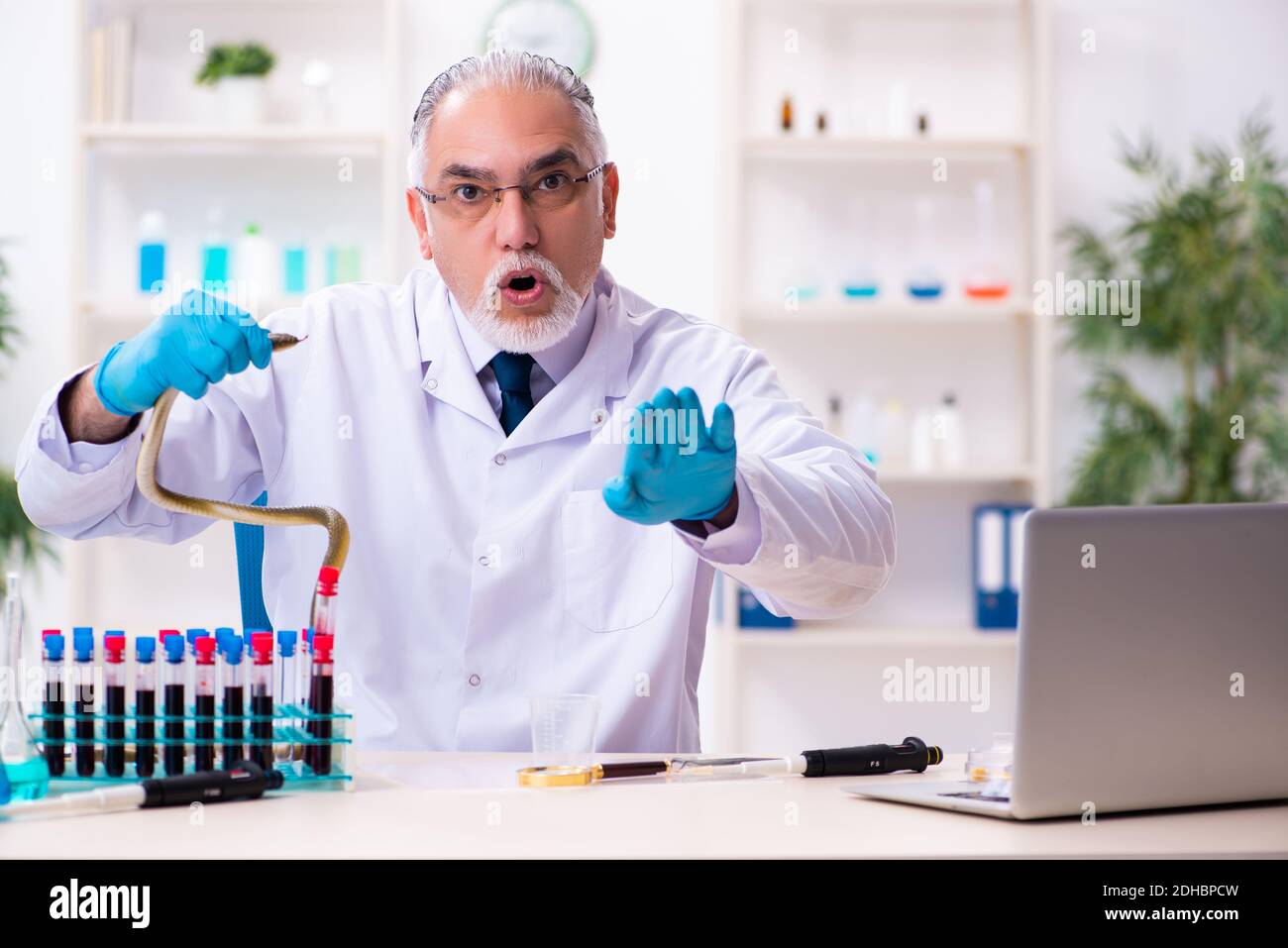 Old senior doctor scientist holding snake in his hand Stock Photo - Alamy