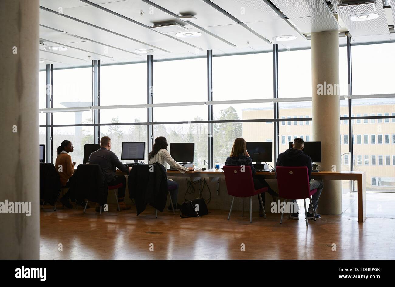 Rear view of young male and female students using computers in ...