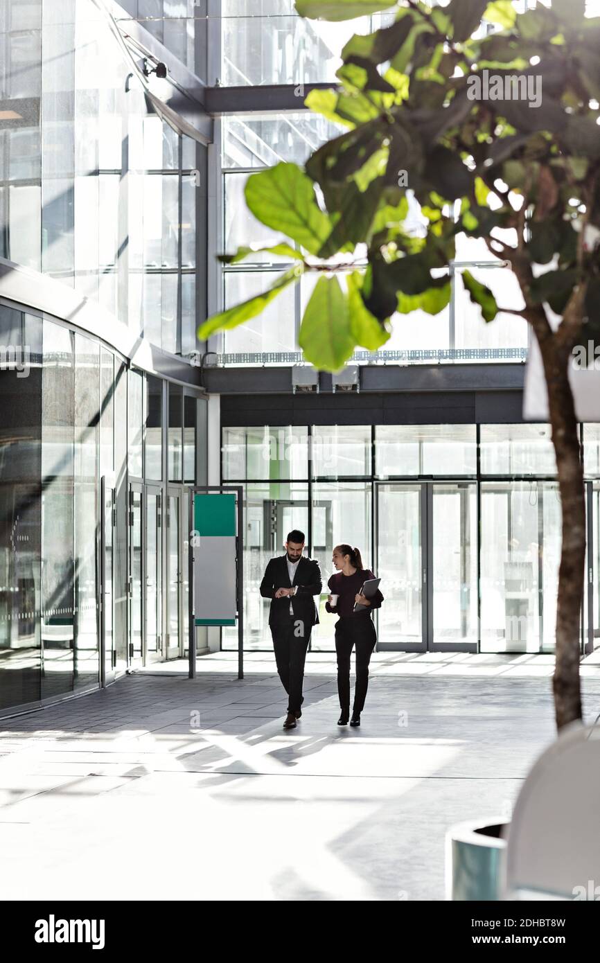 Atriums hi-res stock photography and images - Alamy