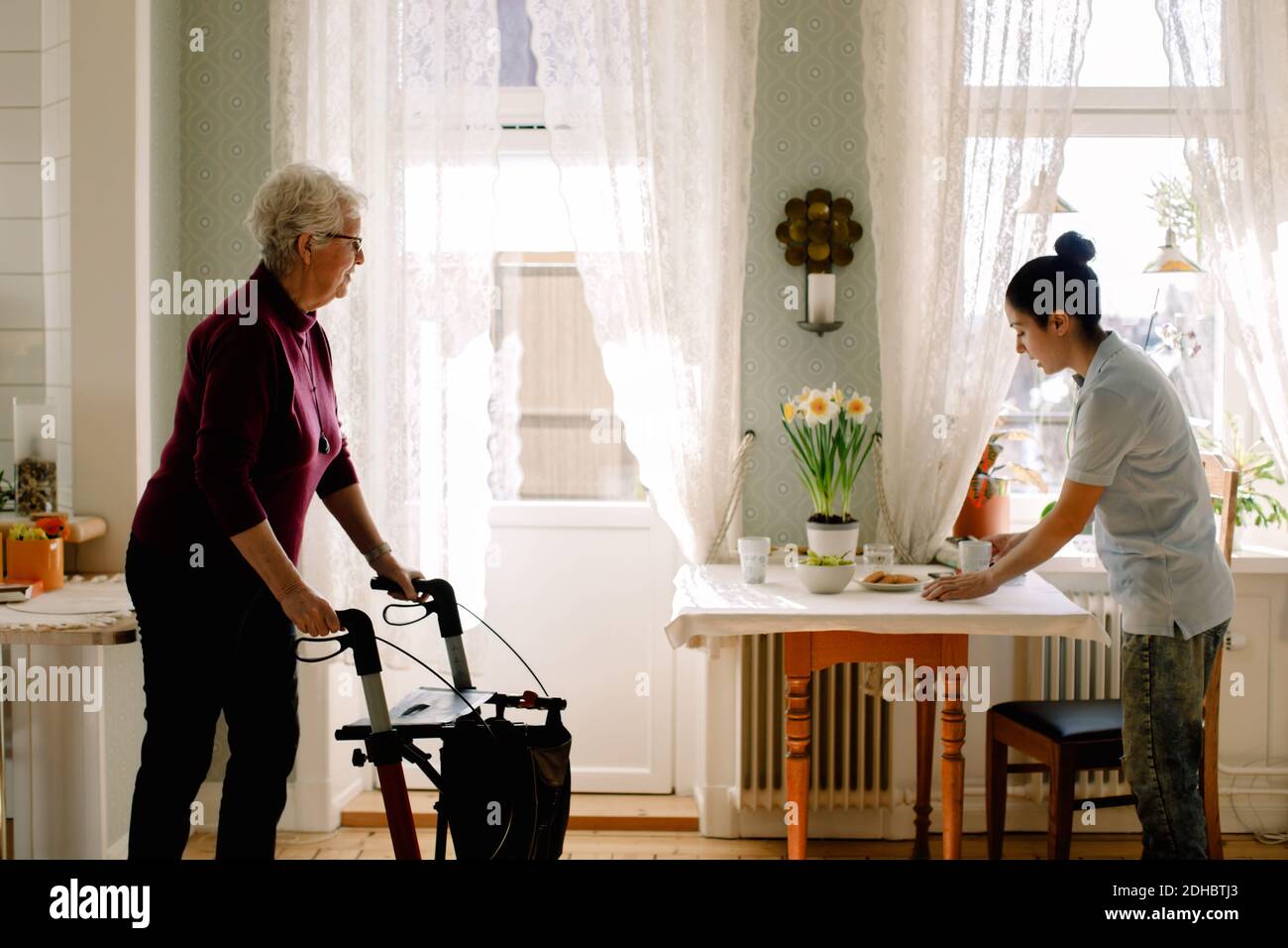 Retired senior woman walking with rollator while young female caregiver ...