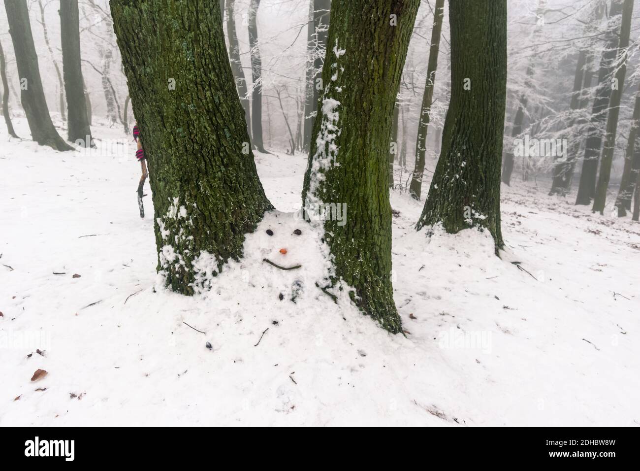 tree trunks and snowman smiling in winter forest Stock Photo - Alamy