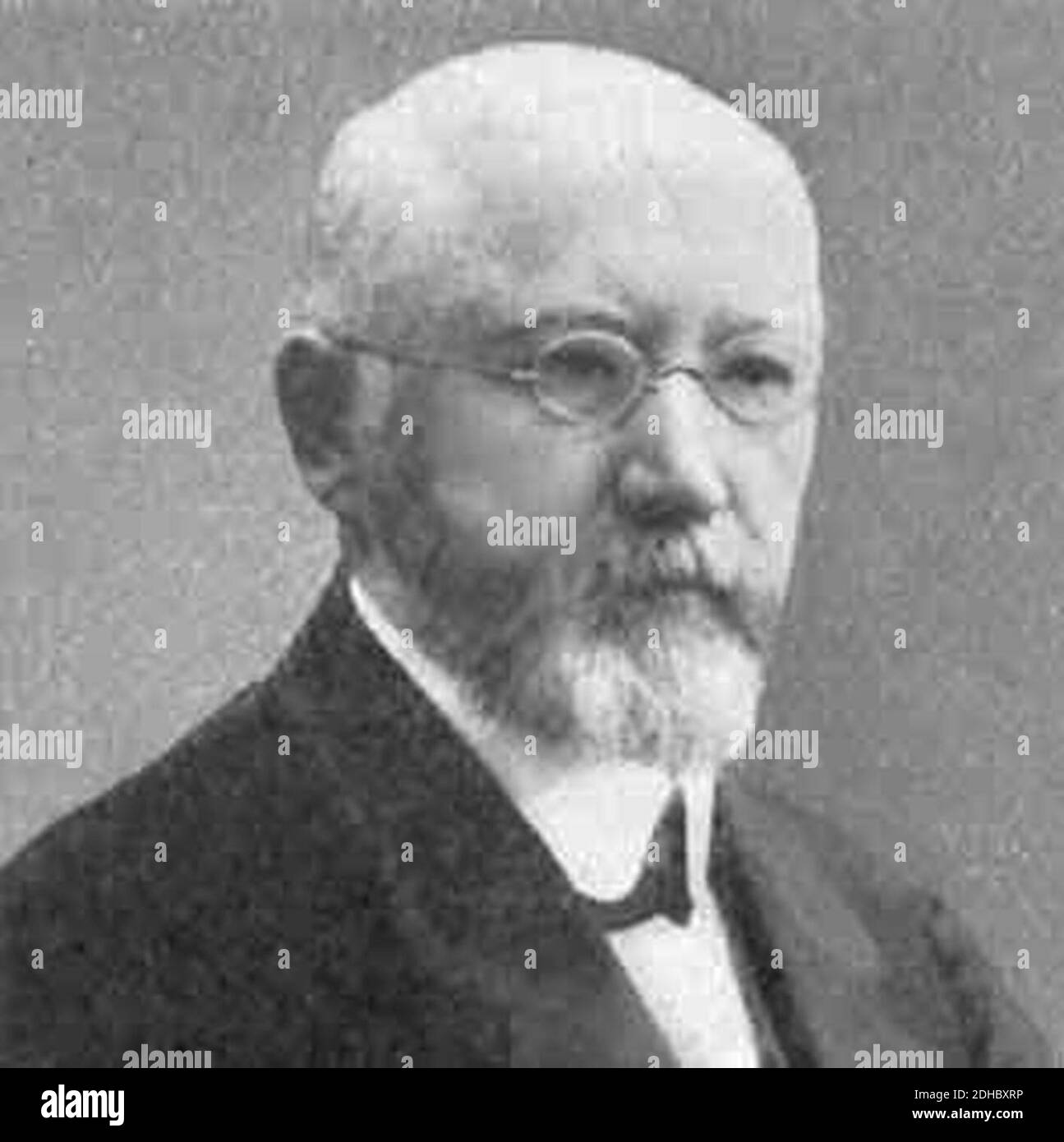 Kulchitsky hi-res stock photography and images - Alamy