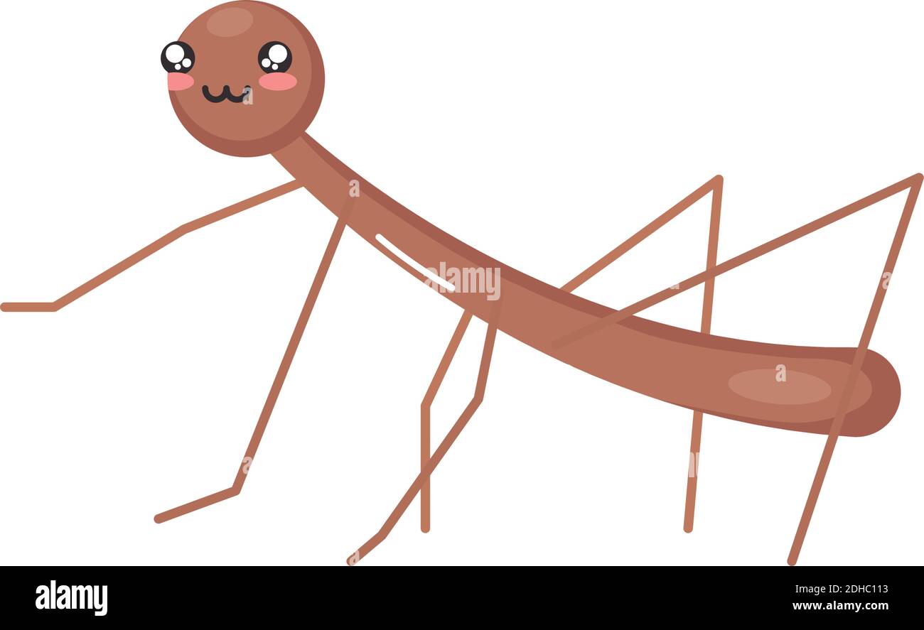 cute stick insect icon, colorful design Stock Vector Image & Art - Alamy