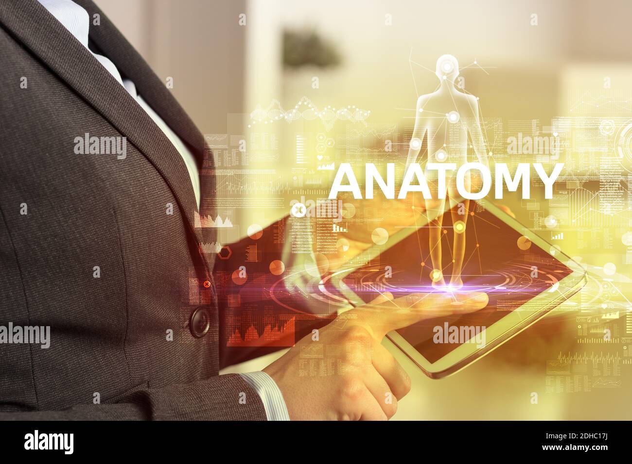 Electronic medical record with ANATOMY inscription, Medical technology ...