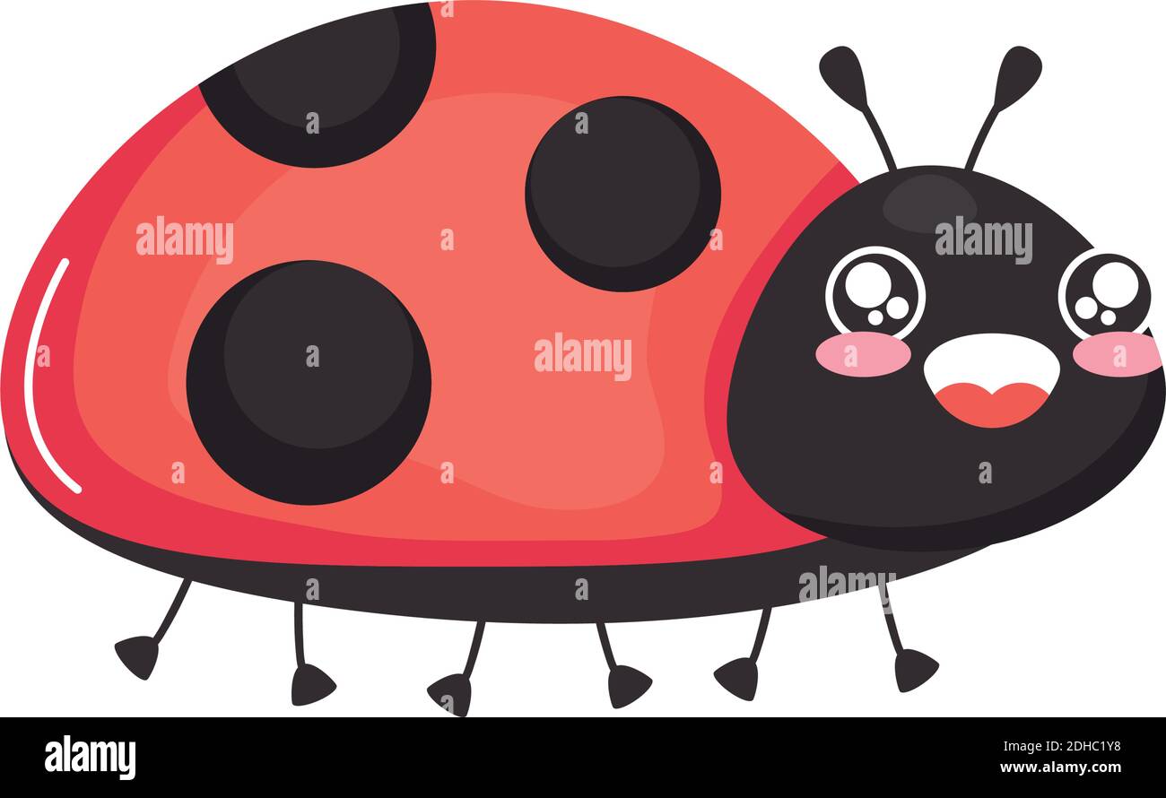 cute ladybug icon over white background, colorful design, vector ...