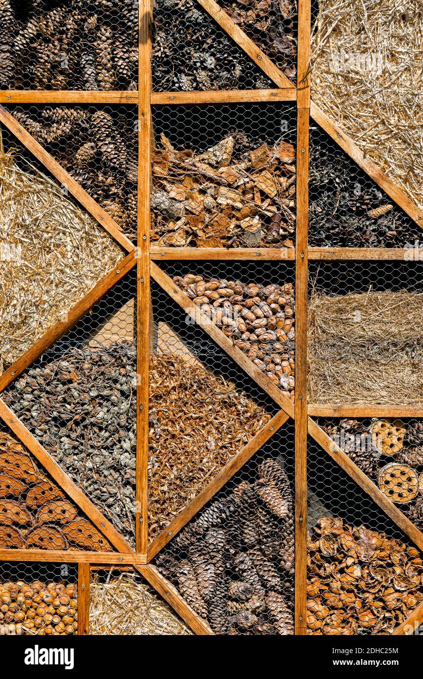 Insect Hotel With Compartments As Shelter For Animals To Improve ...