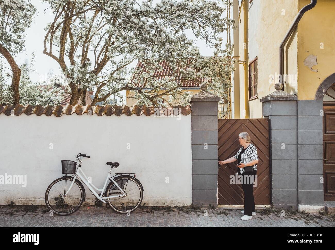 Opening gate hi-res stock photography and images - Alamy