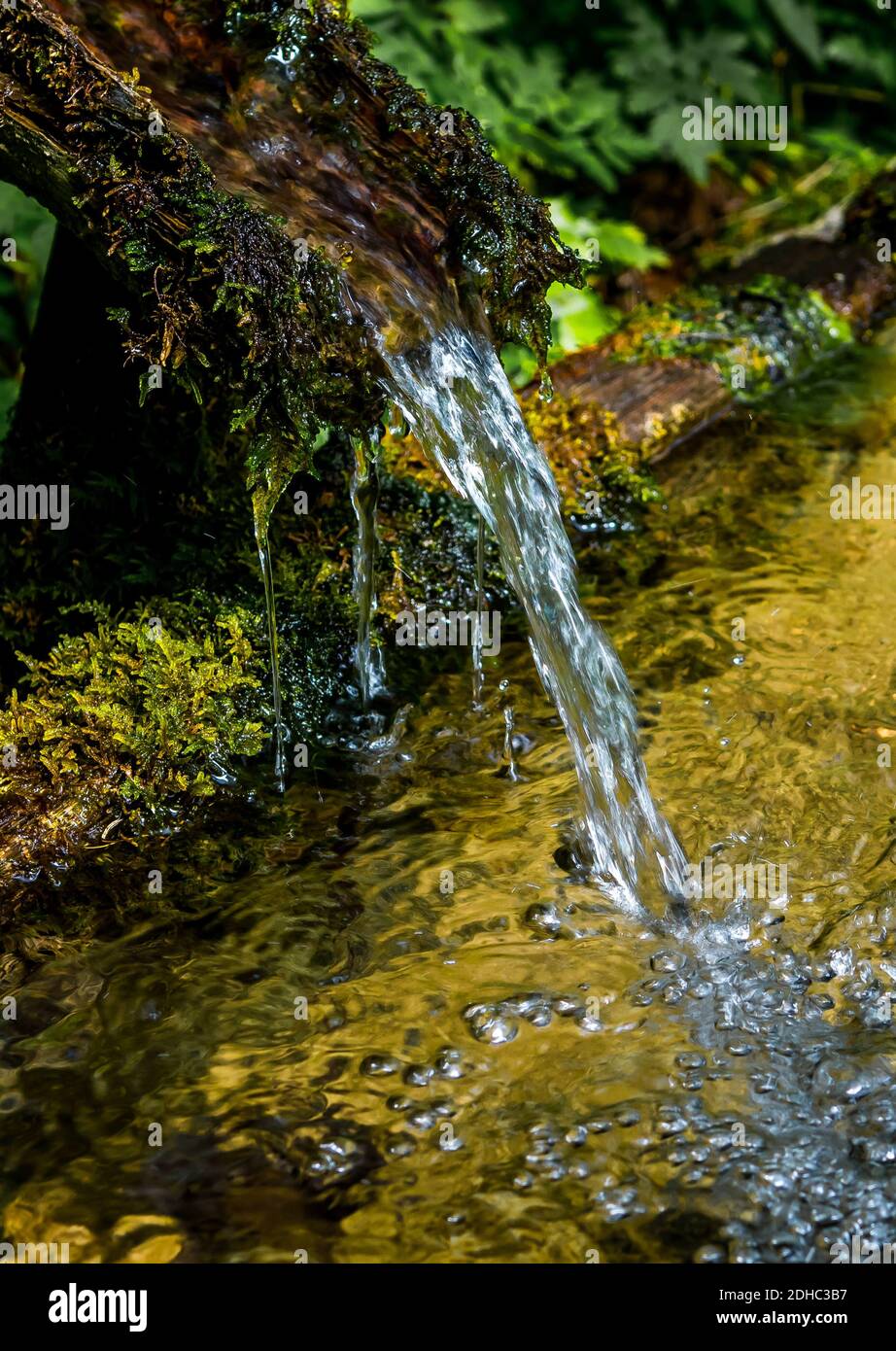 Old Mossy Spring And Fountain With Clear And Cold Mountain Water ...